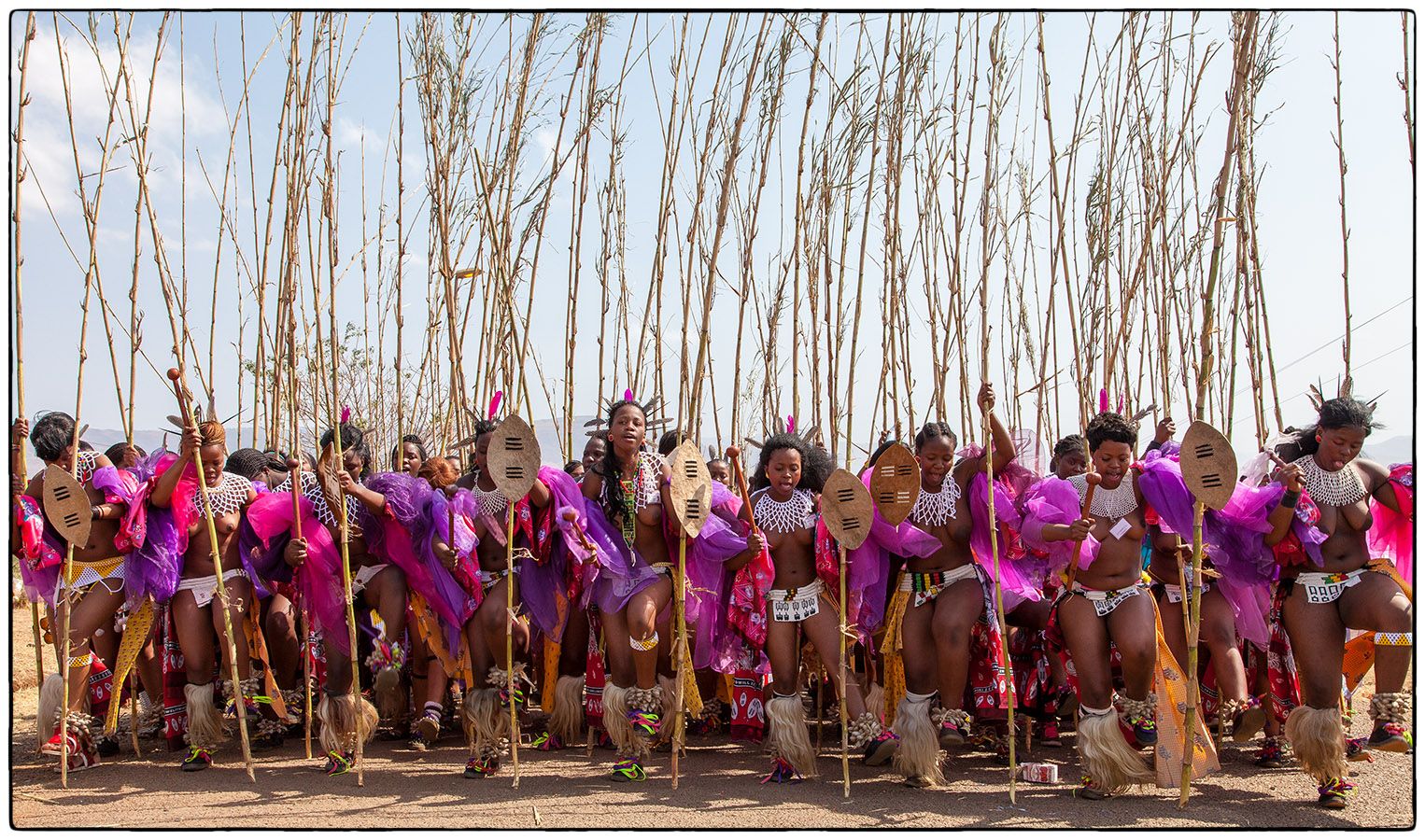 Royal Reed Dance